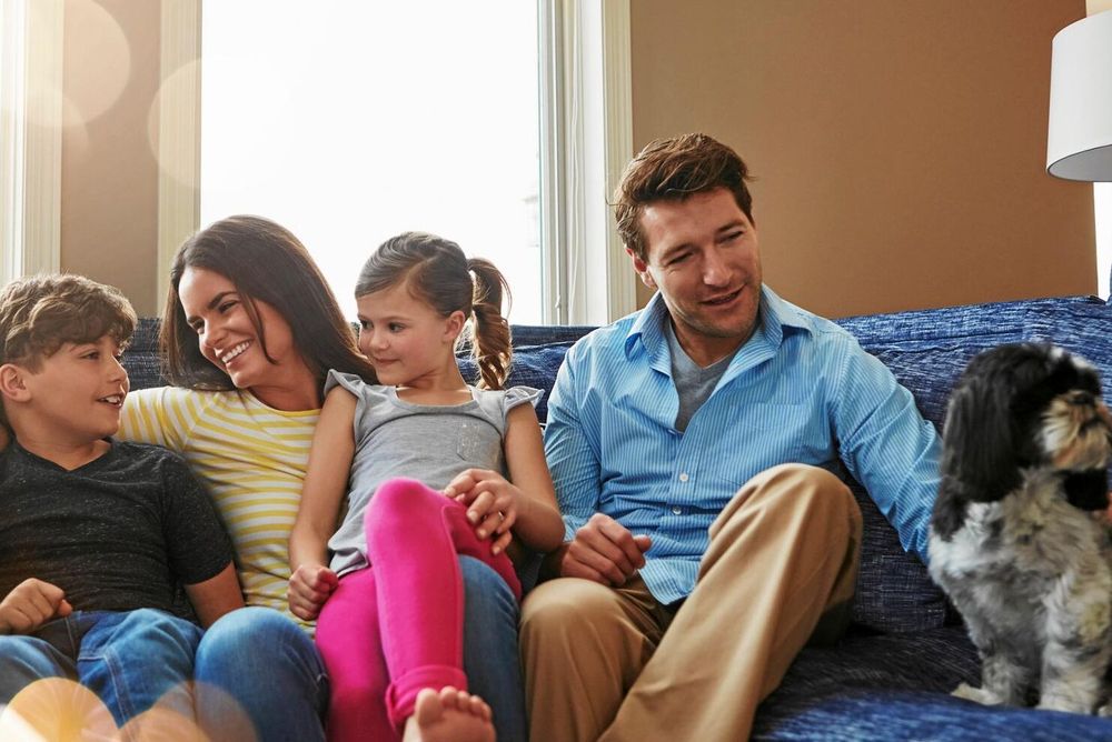 Så undviker familjen springmask och så behandlas den | Land