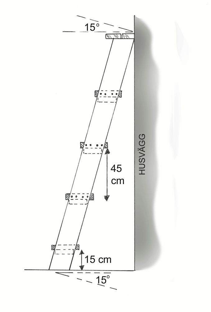 Bygg en trappa till pelargonerna | Land