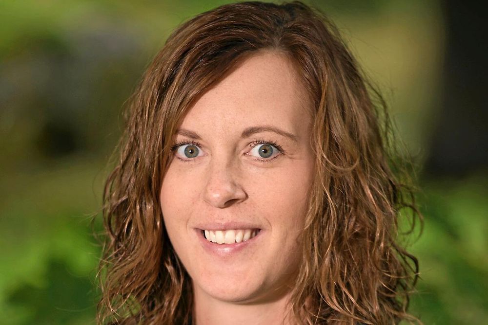 De svenska växtzonerna förflyttas – en meter per timmaw | Land