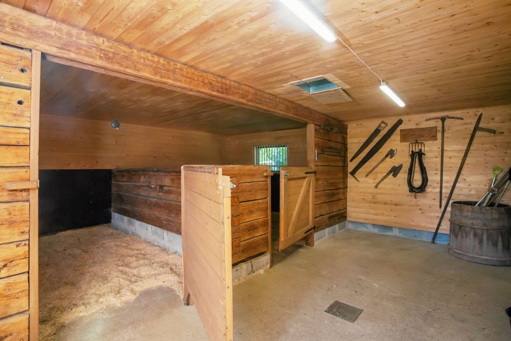 Familjen Cedering älskar sitt liv vid Kalixälven | Land