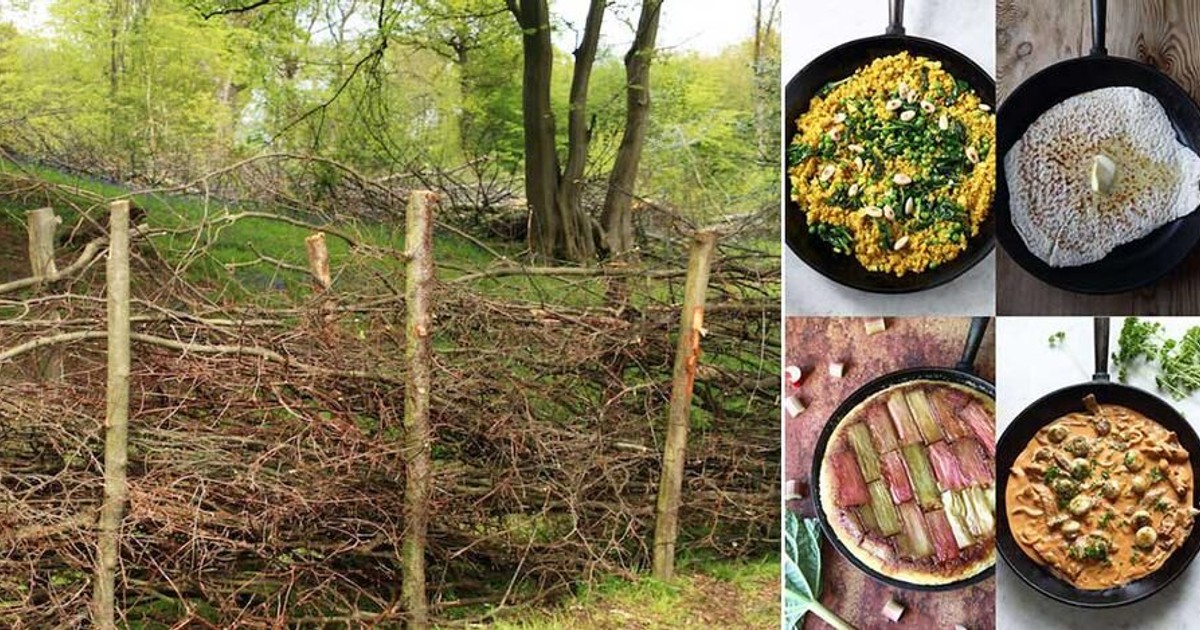 Mest läst på Land.se vecka 12 | Land