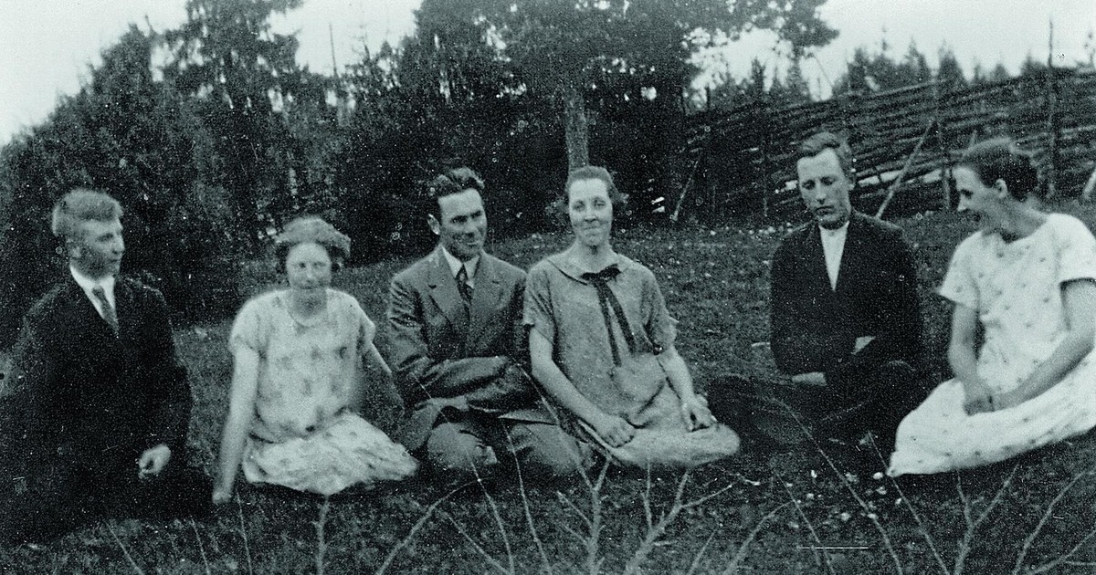 Syskonjordbruk – Martin Dackling berättar deras historia | Land